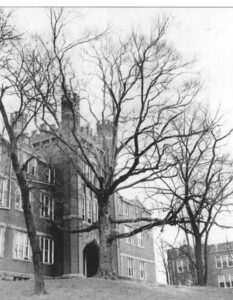 The Story of the Marshall Beech Tree and the Grand Mace - Marshall ...